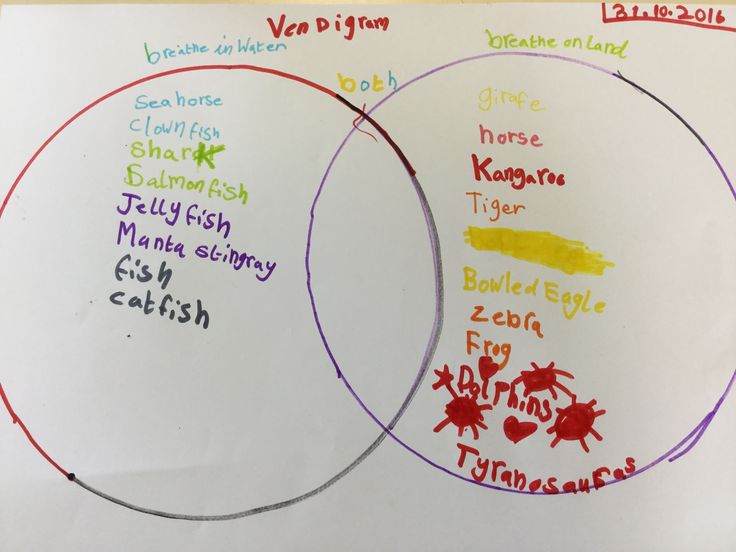 Alternatives To Venn Diagrams