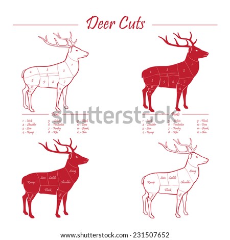 Cuts Of Venison Diagram
