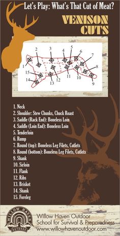 Cuts Of Venison Diagram