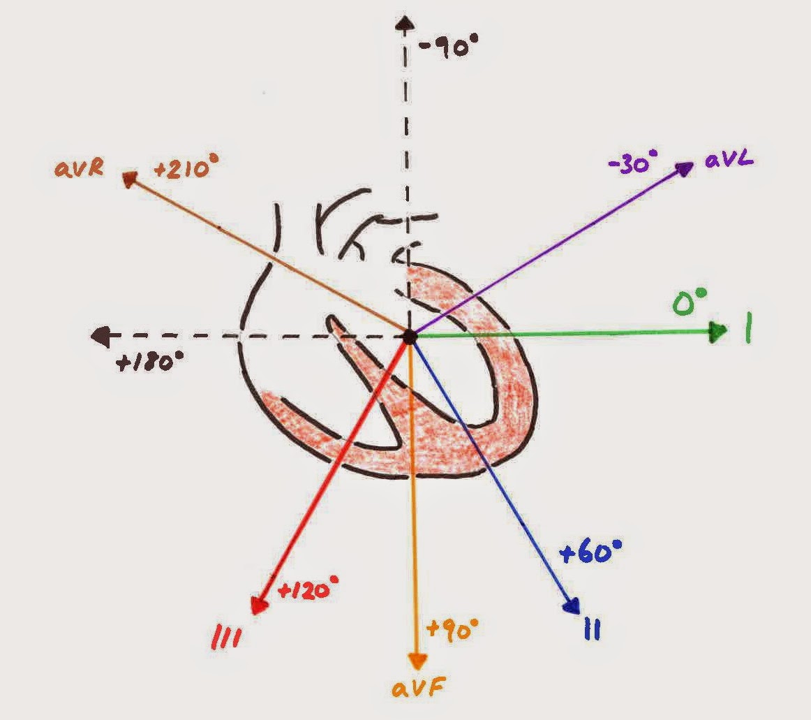Hexaxial Diagram
