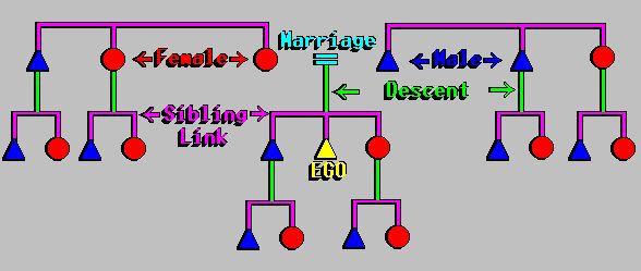Iroquois Kinship Diagram