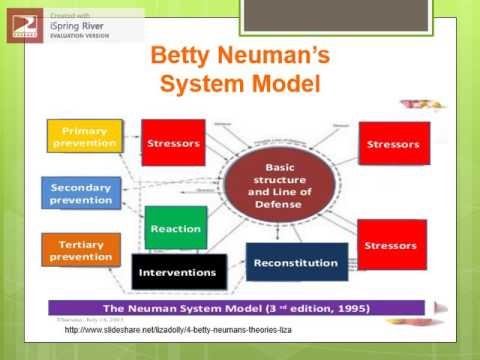 Neuman Systems Model Diagram