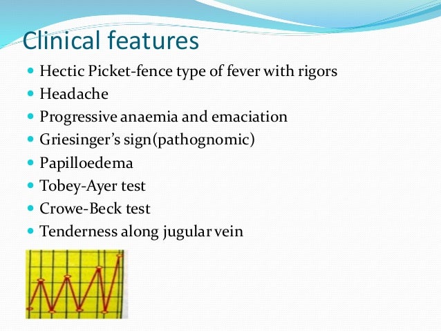 Picket Fence Diagram For Occlusion