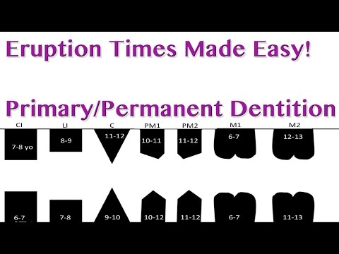 Picket Fence Diagram For Occlusion