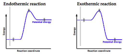 Reaction Coordinate Diagram Endothermic
