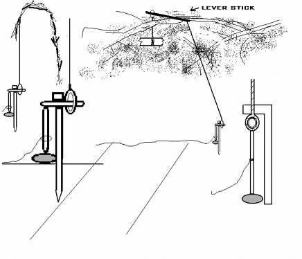 Spring Snare Trap Diagram