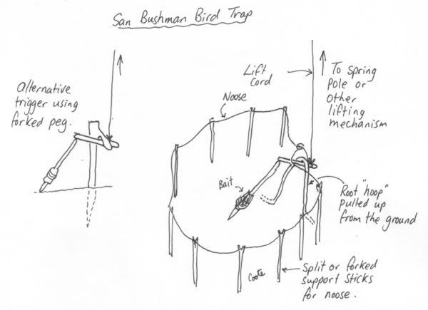 Spring Snare Trap Diagram