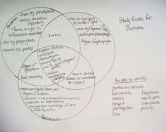 Venn Diagram Of Photosynthesis And Chemosynthesis