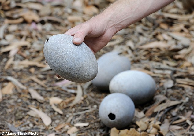 [DIAGRAM] Code 3 Wiring Diagram Model 360rd - WIRINGSCHEMA.COM