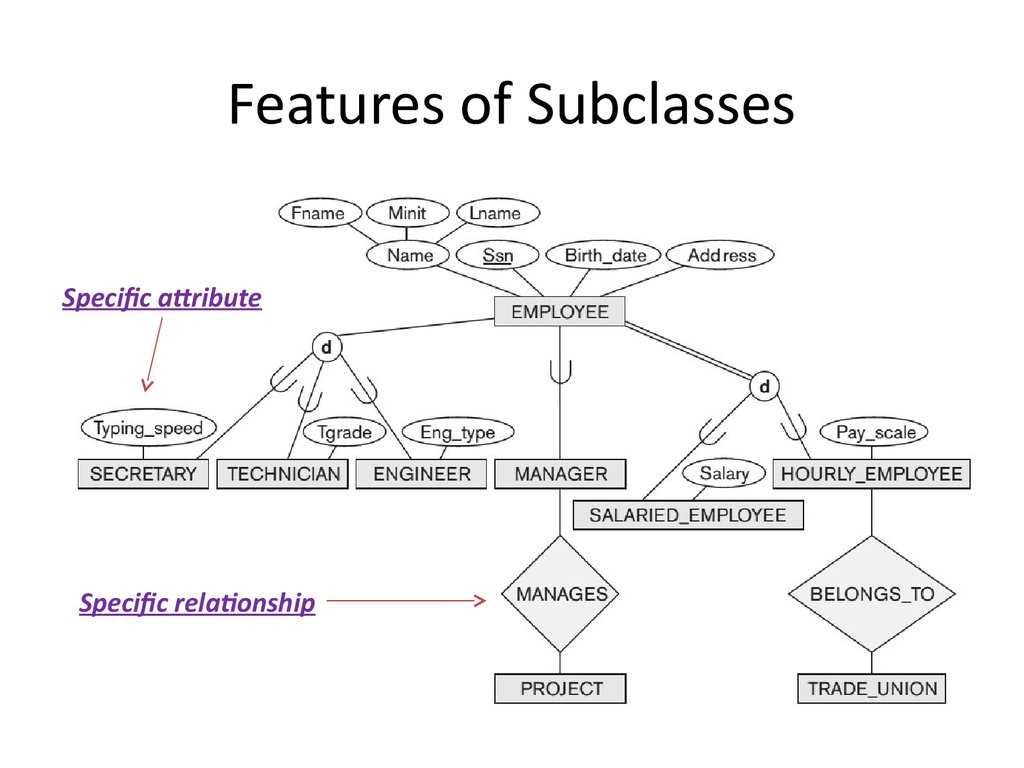 Understanding the Differences: ER Diagram vs EER Diagram