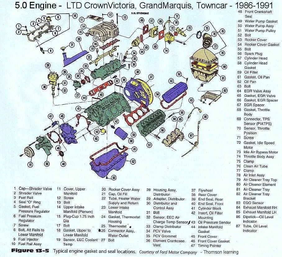 5.0 Coyote Engine Diagram Detailed Overview