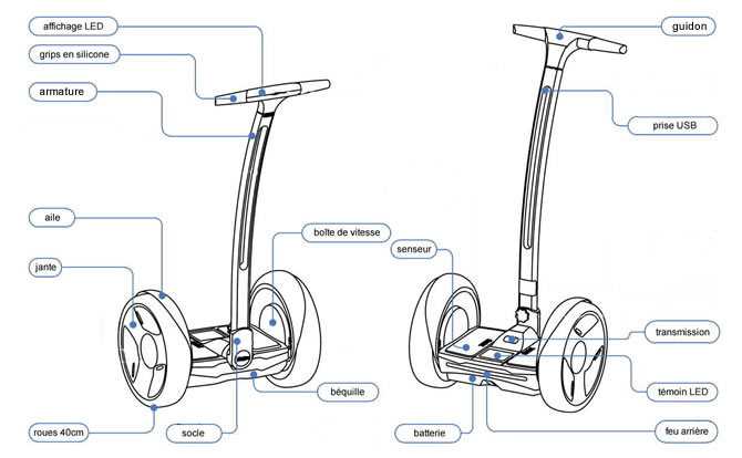 Become an Expert: Understanding the Anatomy of a Segway with a Detailed ...