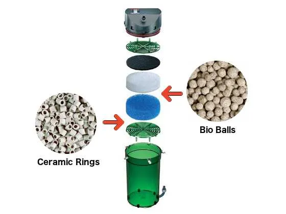 Canister Filter Setup Diagram for Easy Installation