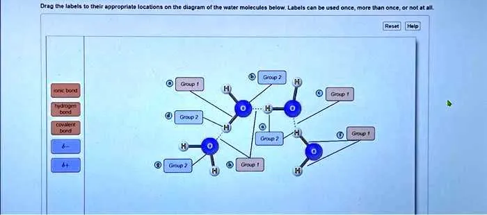 Label Placement Activity for Diagram Identification