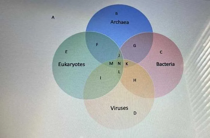 Venn Diagram of Viruses and Bacteria Comparison