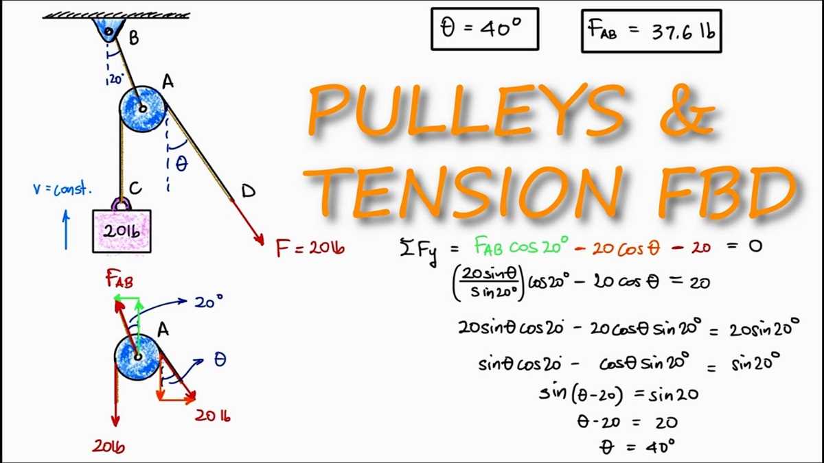 The Ultimate Guide to Creating a Simple and Free Body Diagram