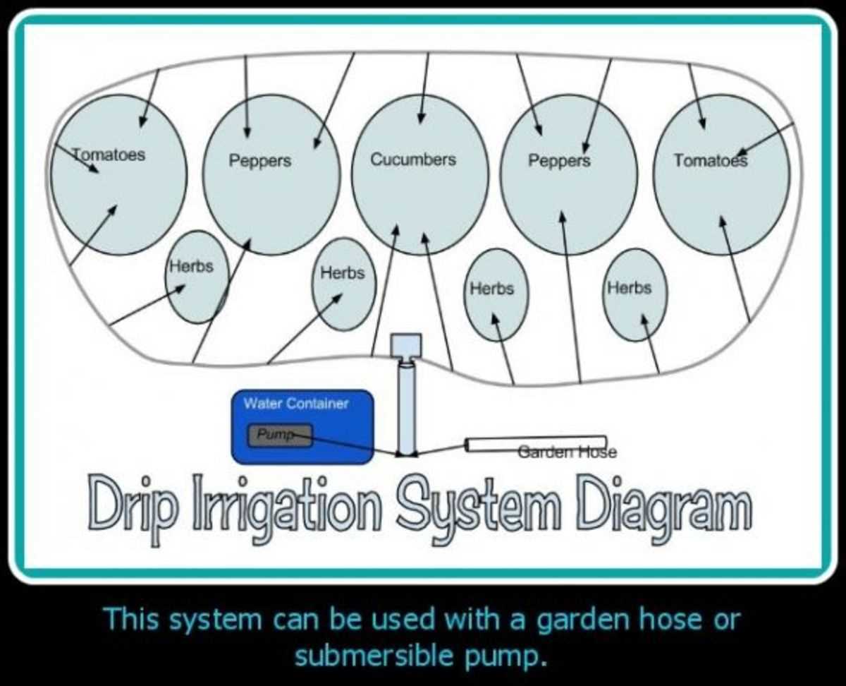 Understanding the Components: A Comprehensive Diagram of an Irrigation ...