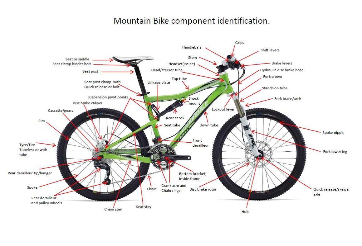 The Ultimate Guide to Understanding Bicycle Schematic Diagrams