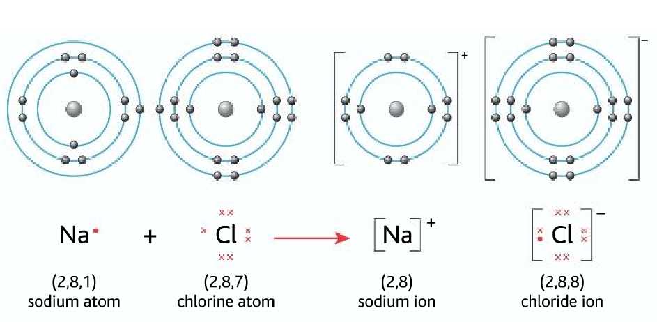 How to Create an Ion Dot Diagram: A Step-by-Step Guide