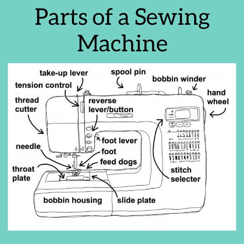 The Ultimate Guide to Understanding a Sewing Machine: An Illustrated ...