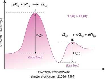 Understanding the Reaction Coordinate Diagram for Exothermic Reactions