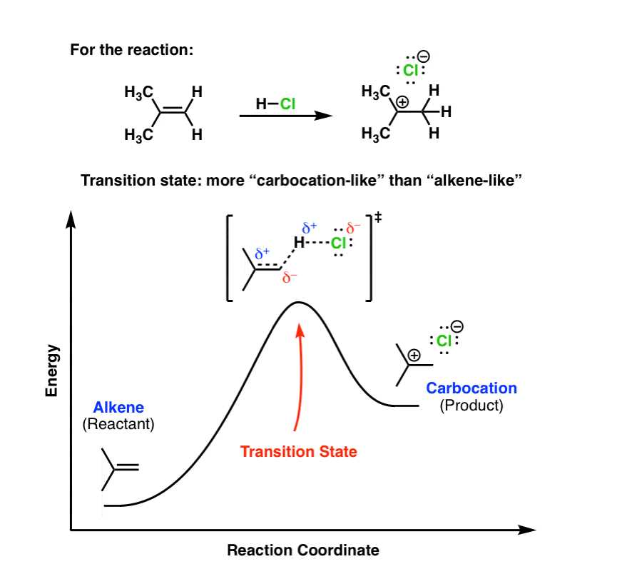 Understanding The Reaction Coordinate Diagram For Exothermic Reactions