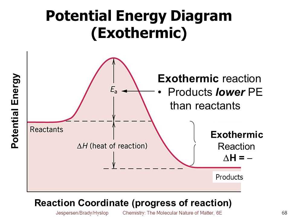 Understanding the Reaction Coordinate Diagram for Exothermic Reactions