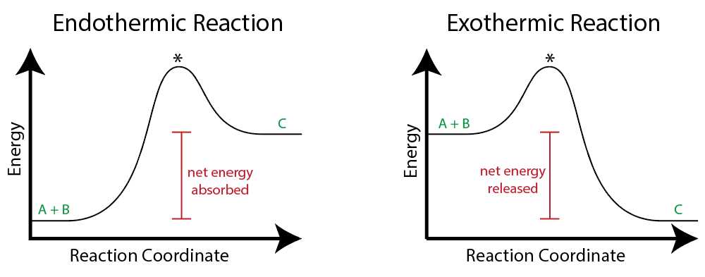 Understanding the Reaction Coordinate Diagram for Exothermic Reactions