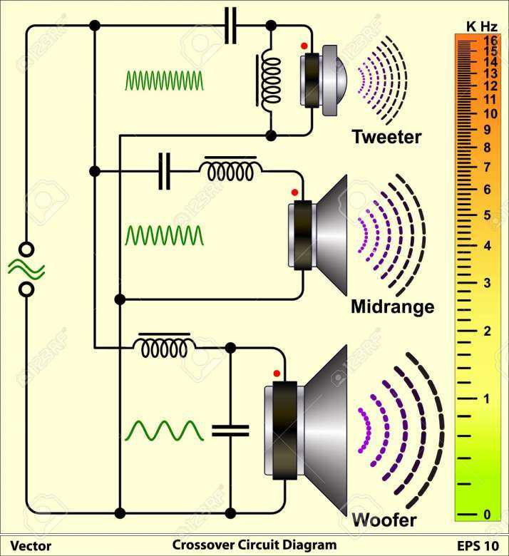 10 Essential Components for a Speaker Amplifier Circuit Diagram