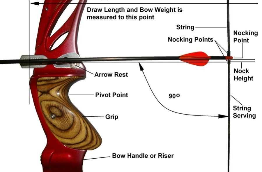 The Essential Guide to Understanding the Parts of an Arrow Diagram
