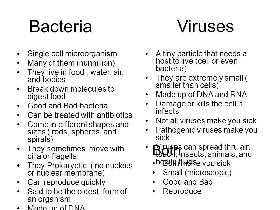 Venn Diagram of Viruses and Bacteria Comparison