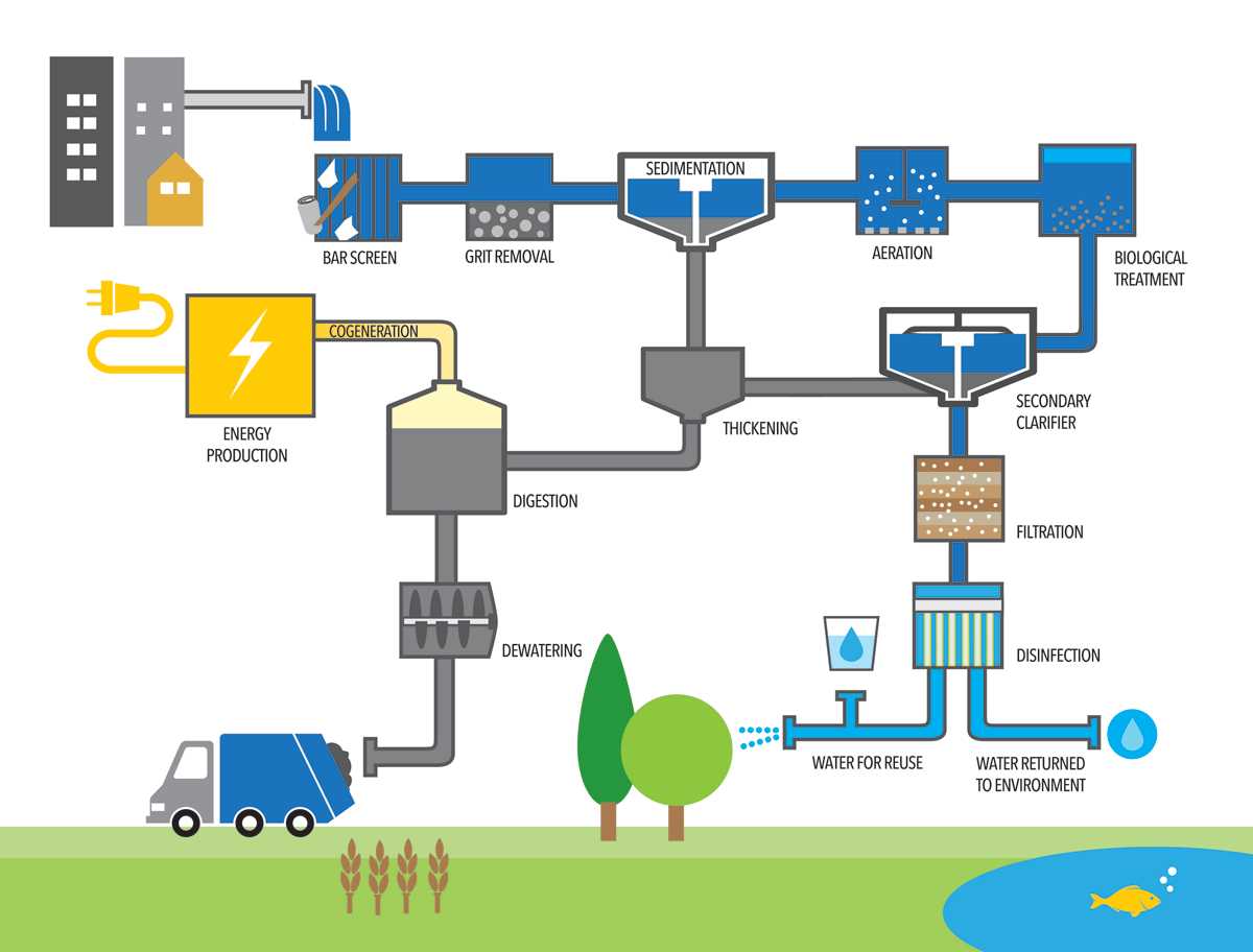 The Ultimate Guide to Understanding Water Plant Diagrams
