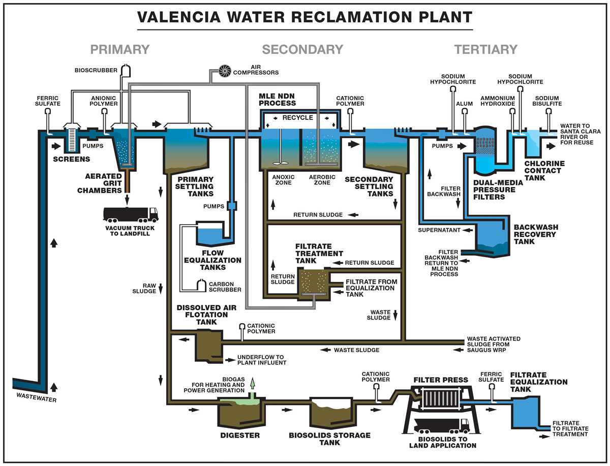The Ultimate Guide to Understanding Water Plant Diagrams